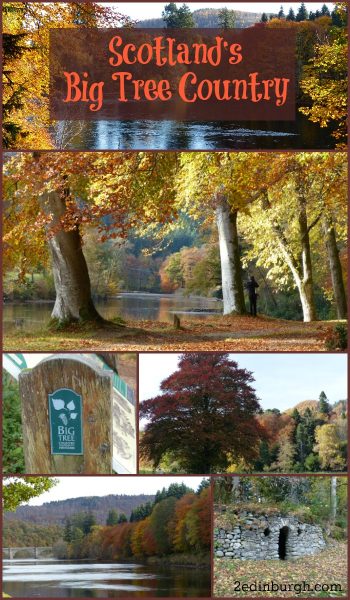 Dunkeld - Big Tree Country Autumn Day Trip from Edinburgh - 2edinburgh